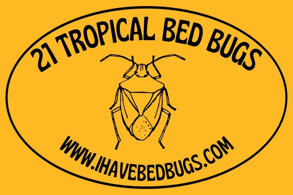 21 Tropical Bed Bugs (Cimex Hemipterus) Facts: Signs, Bites, Symptoms ...