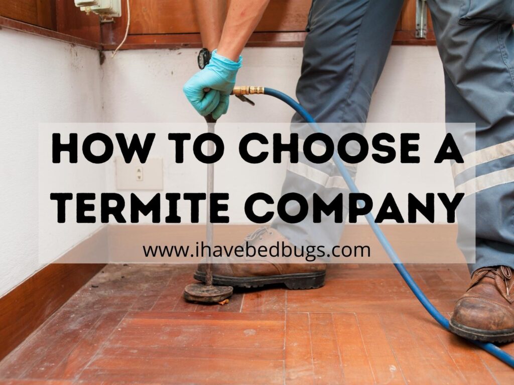 How To Choose A Termite Company - ihavebedbugs.com