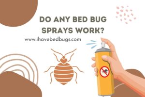 Do Any Bed Bug Sprays Work? - ihavebedbugs.com