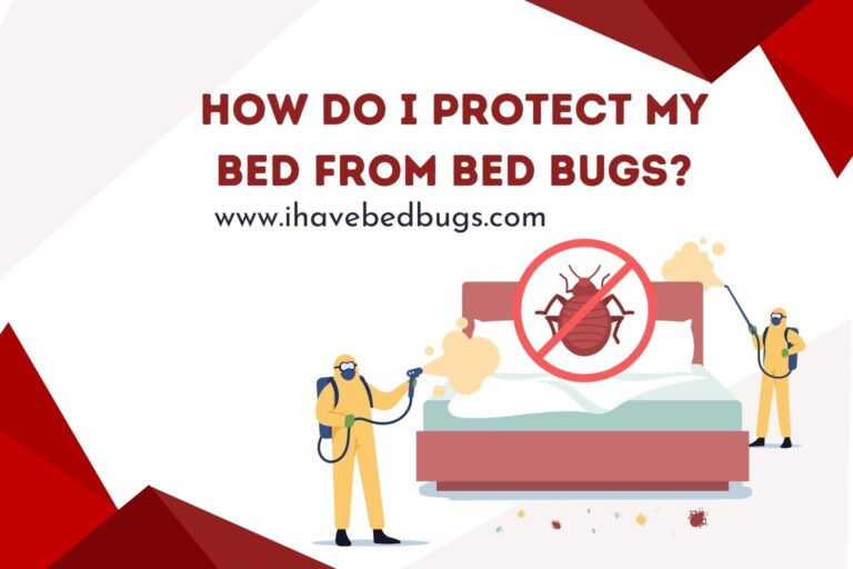 How Do I Protect My Bed From Bed Bugs? - ihavebedbugs.com